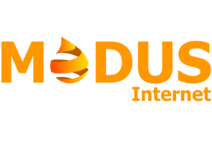 We design, develop, and deploy multilingual websites.